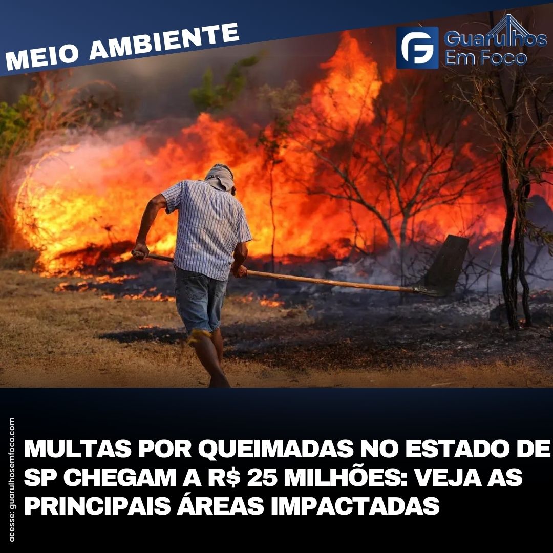 Queimadas em SP geram R$ 25 milhões em multas: Conheça as Regiões mais ...
